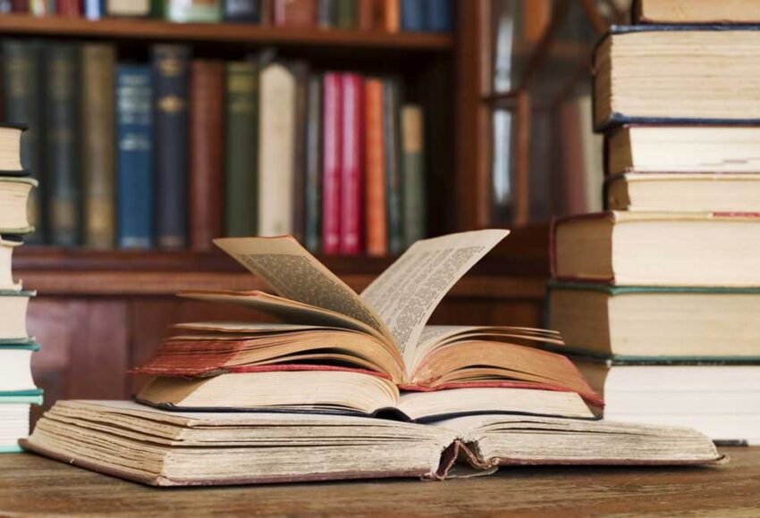 What is Genealogy? - Root To Branches